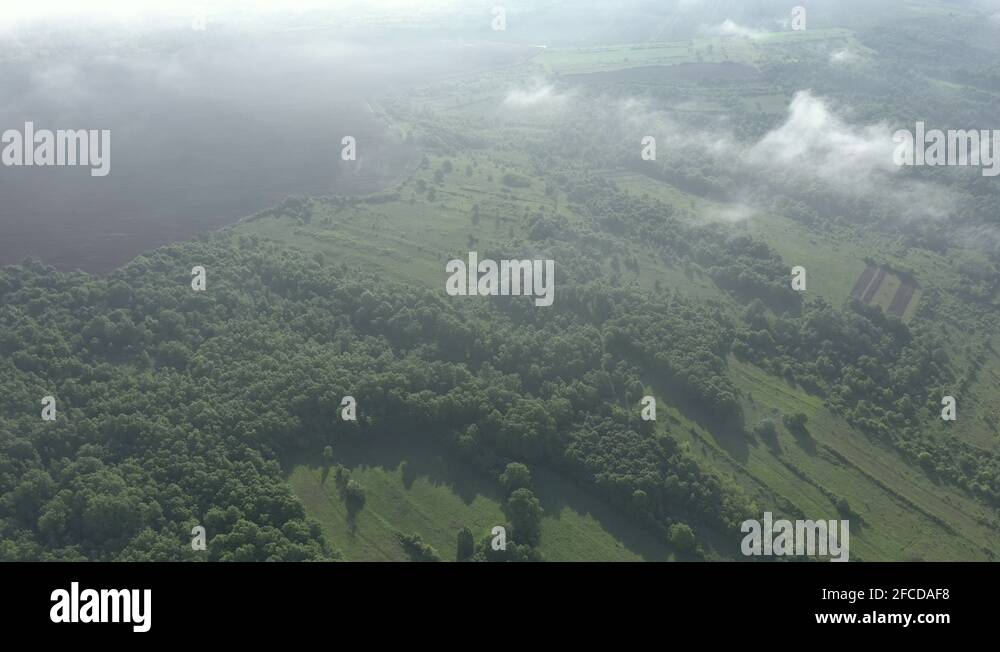 Meadow from above Stock Videos & Footage - HD and 4K Video Clips - Alamy
