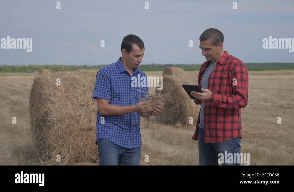 teamwork agriculture smart farming concept. two men farmers workers ...