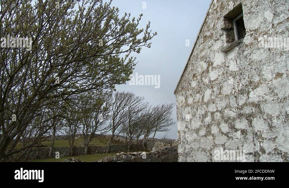 Home yards Stock Videos & Footage - HD and 4K Video Clips - Alamy