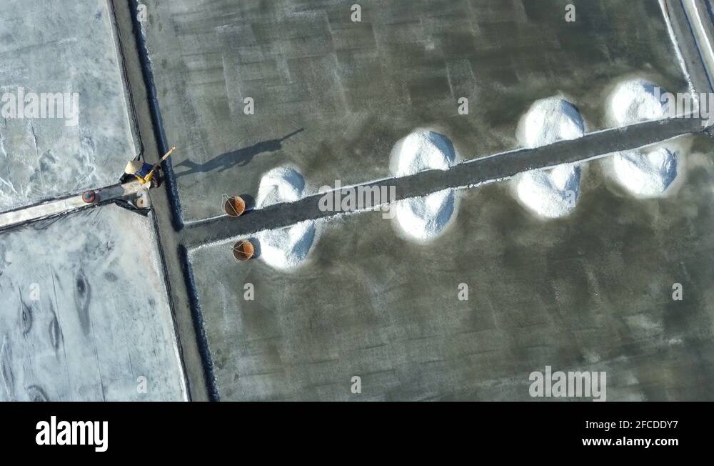 Traditional yoke asia Stock Videos & Footage - HD and 4K Video Clips ...