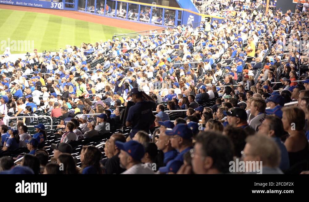 Baseball stand Stock Videos & Footage - HD and 4K Video Clips - Alamy