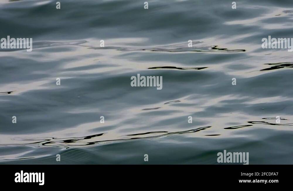 Lake swirl water pattern Stock Videos & Footage - HD and 4K Video Clips ...