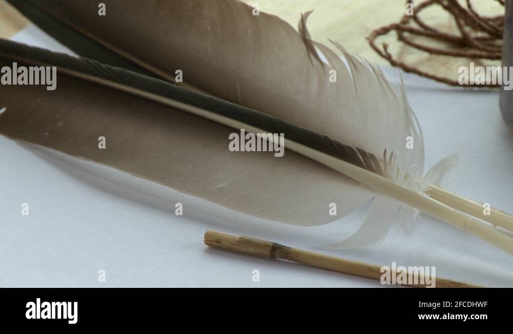 Feather and table Stock Videos & Footage - HD and 4K Video Clips - Alamy