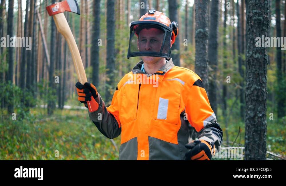 Woodcutter axe Stock Videos & Footage - HD and 4K Video Clips - Alamy