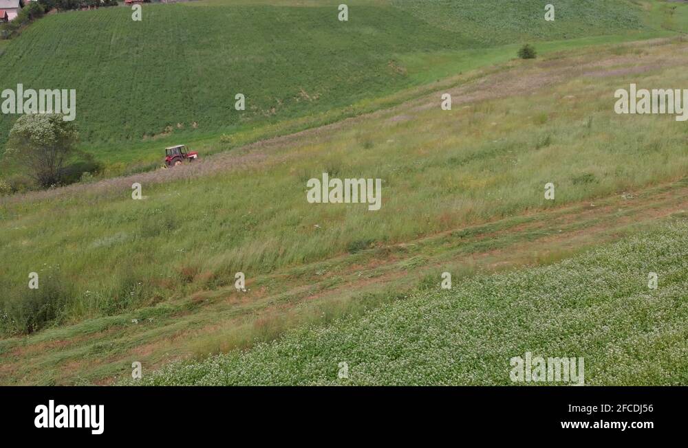 Cutting crops Stock Videos & Footage - HD and 4K Video Clips - Alamy