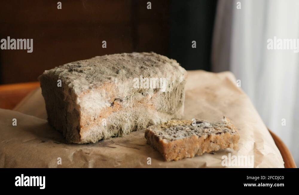 slice of bread falling on moldy bread, particles of mold slow motion ...