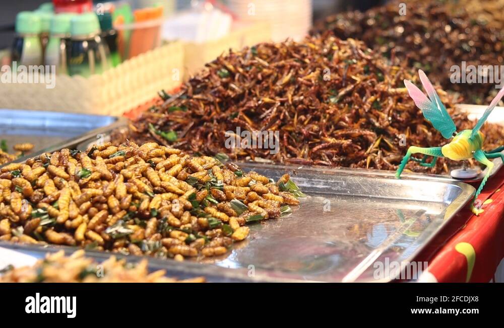 Future food insects Stock Videos & Footage - HD and 4K Video Clips - Alamy