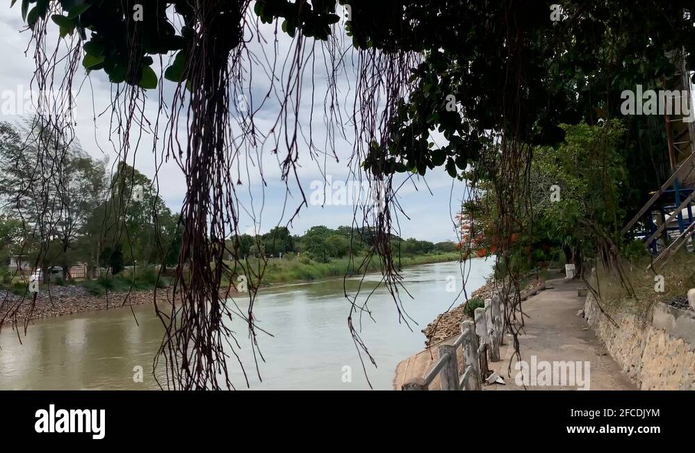 Overhanging branch Stock Videos & Footage - HD and 4K Video Clips - Alamy