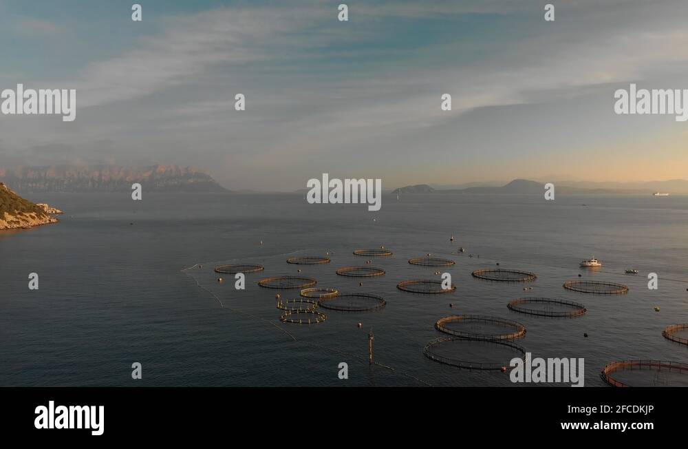 Marine aquaculture farm Stock Videos & Footage - HD and 4K Video Clips ...