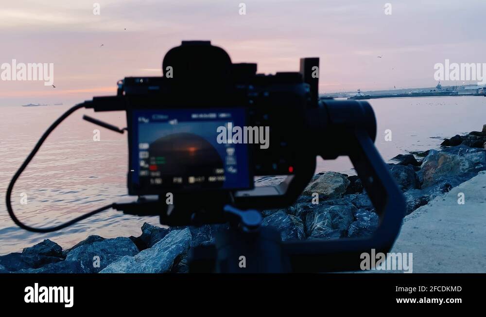Tilt up camera shot Stock Videos & Footage - HD and 4K Video Clips - Alamy