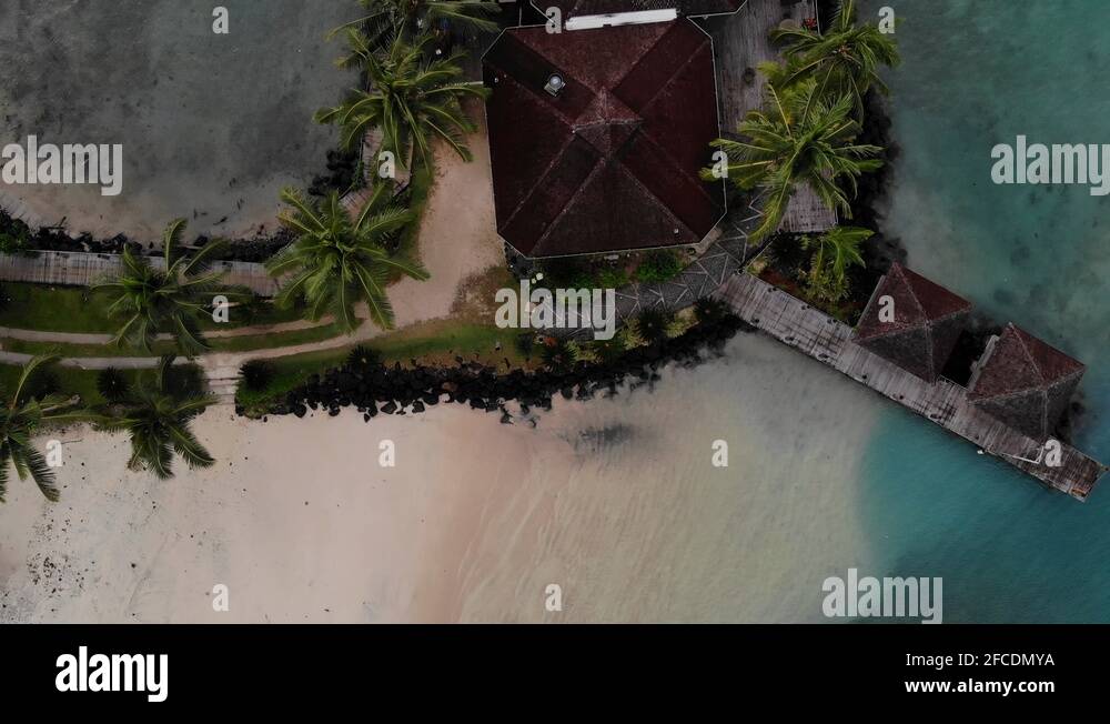 Samoan birds Stock Videos & Footage - HD and 4K Video Clips - Alamy