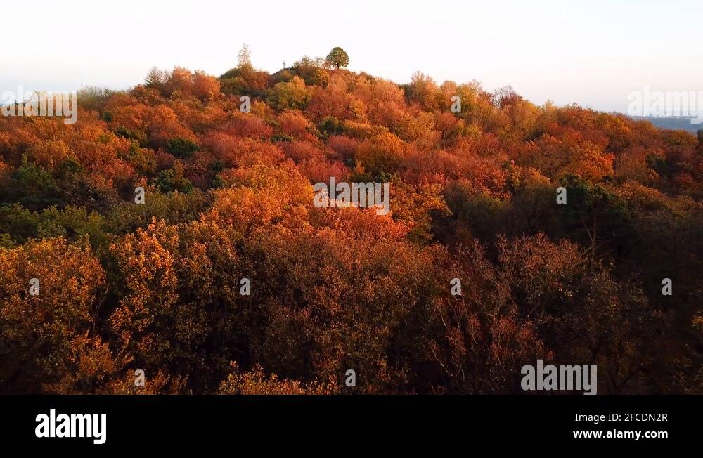 Slopes of a hill Stock Videos & Footage - HD and 4K Video Clips - Alamy