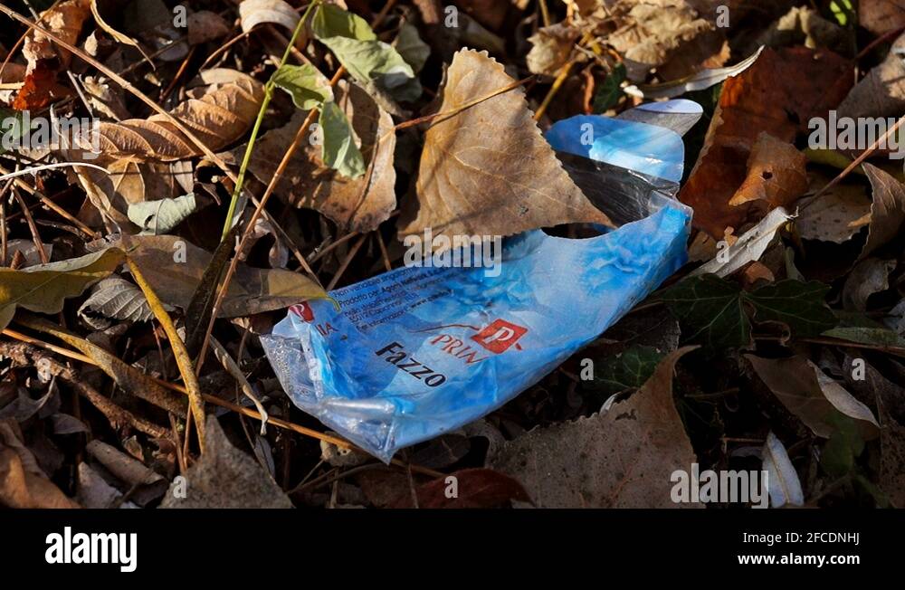 Humans and nature Stock Videos & Footage - HD and 4K Video Clips - Alamy