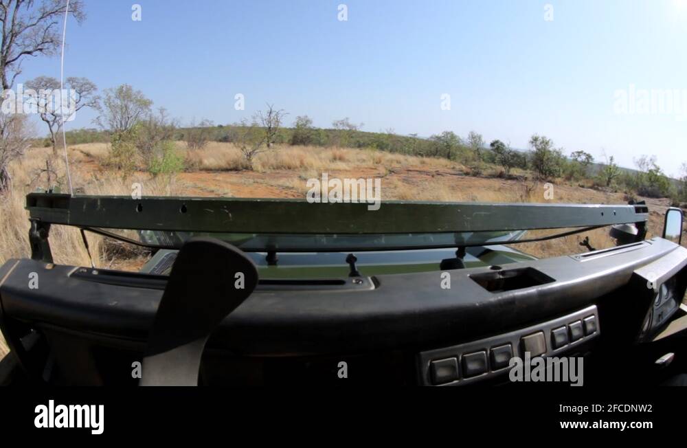 Filmed from the passenger seat of a safari jeep, driving through the ...