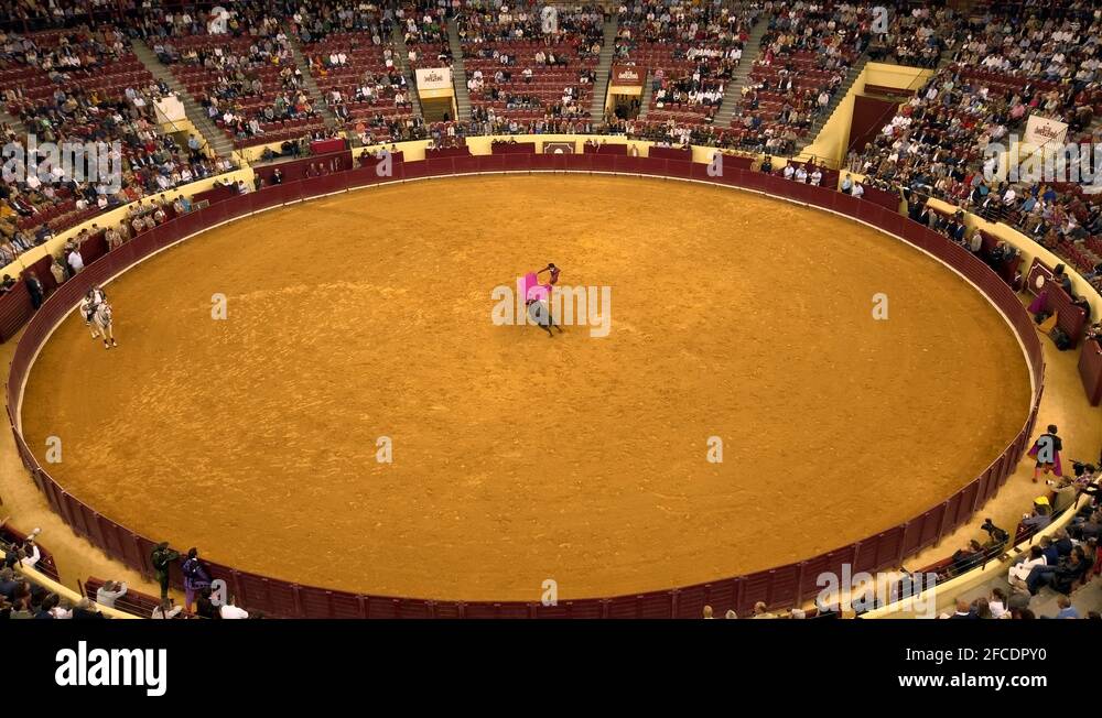 Bullfighting matador history historical Stock Videos & Footage - HD and ...