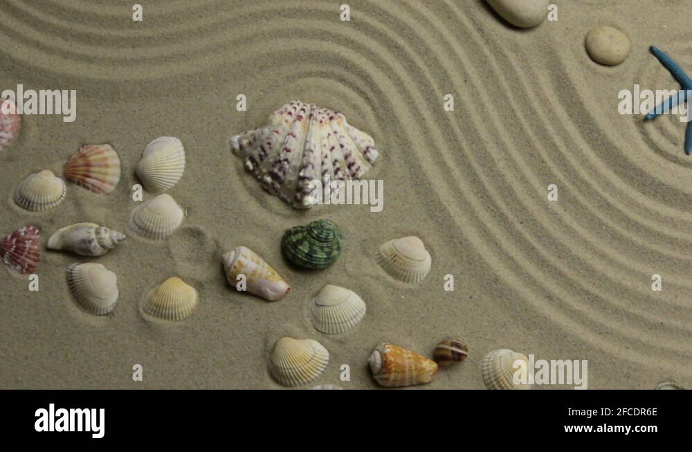 Background shells Stock Videos & Footage - HD and 4K Video Clips - Alamy