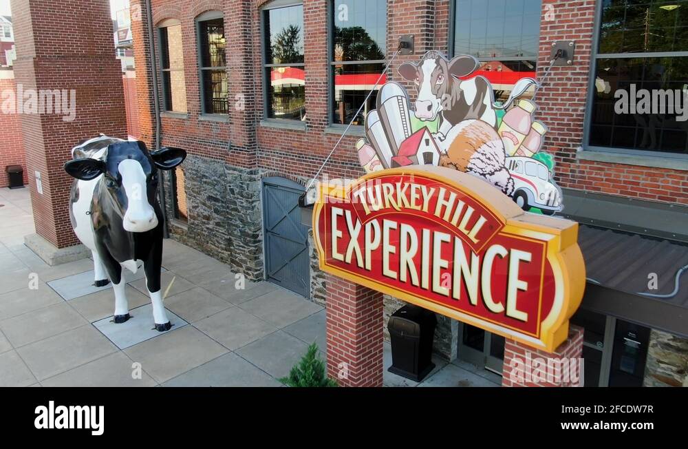 Black cow sign Stock Videos & Footage - HD and 4K Video Clips - Alamy