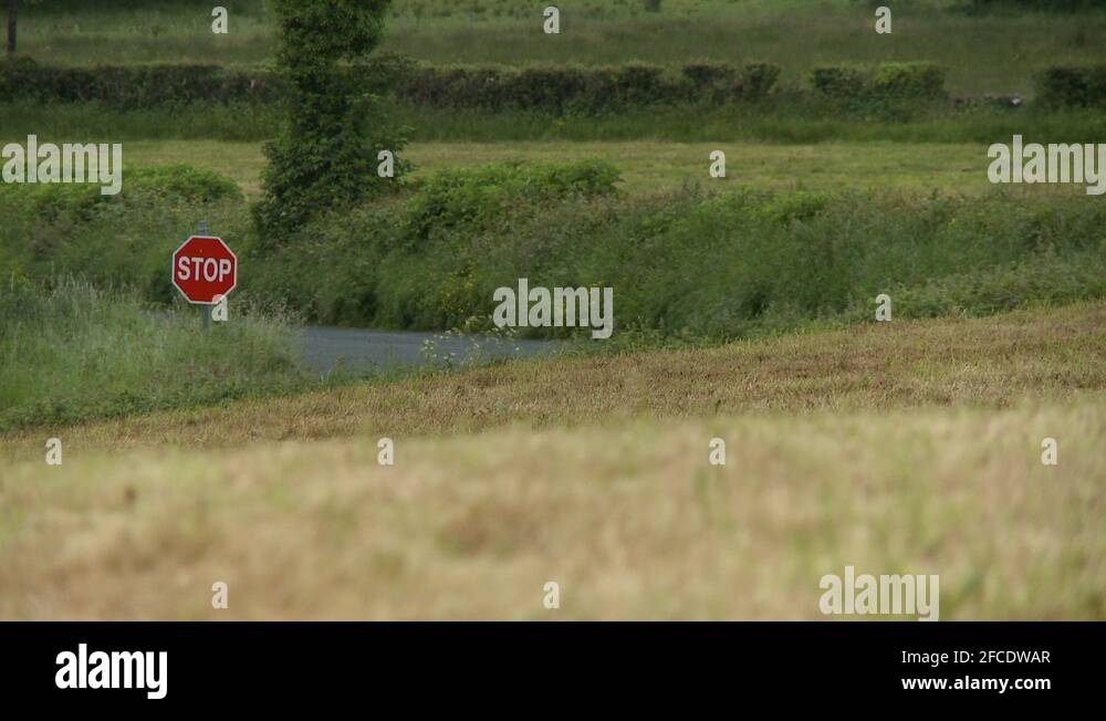Stop sign small Stock Videos & Footage - HD and 4K Video Clips - Alamy