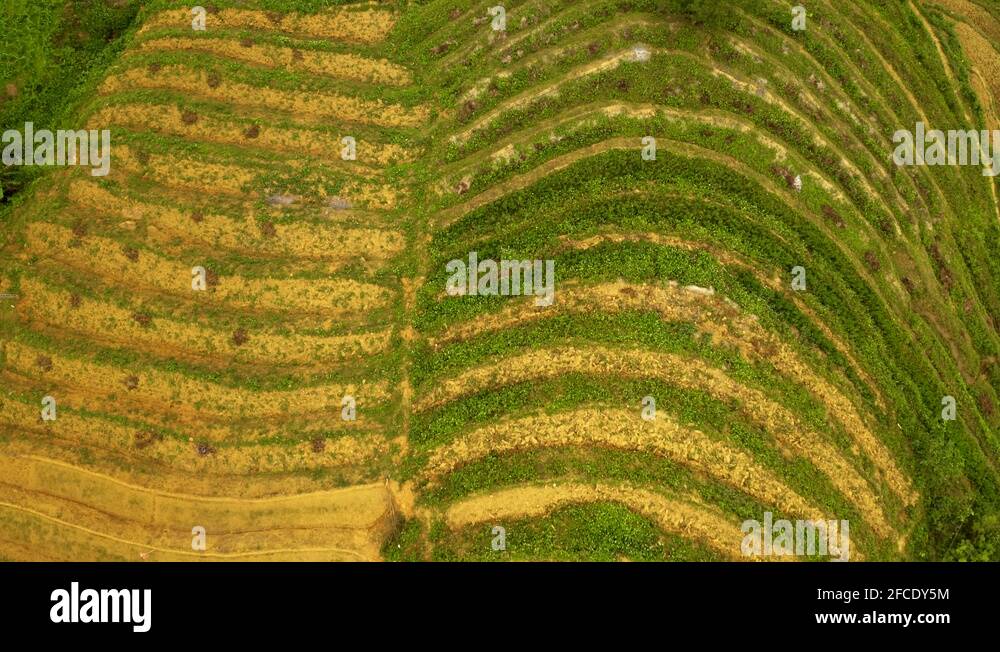 Topographical view Stock Videos & Footage - HD and 4K Video Clips - Alamy