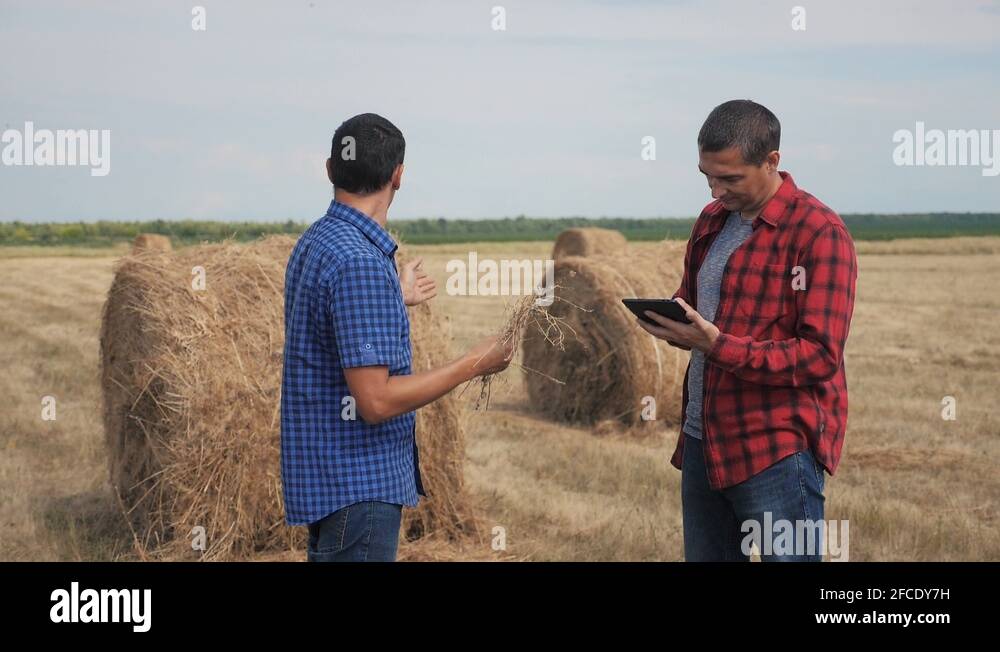 teamwork agriculture smart farming concept. two men farmers workers ...