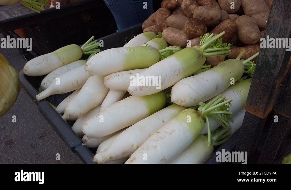 Chinese raddish Stock Videos & Footage - HD and 4K Video Clips - Alamy