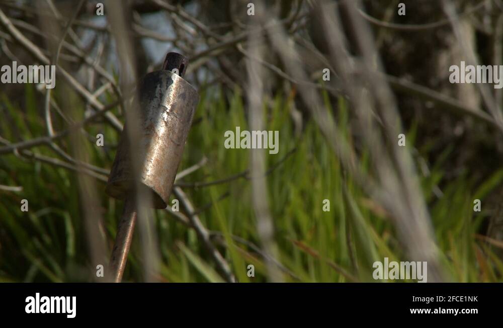 Torch pole Stock Videos & Footage - HD and 4K Video Clips - Alamy