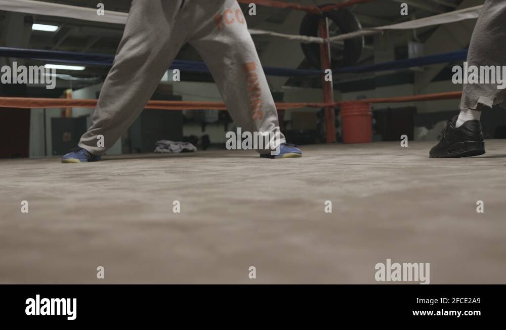 Fighting boxers Stock Videos & Footage - HD and 4K Video Clips - Alamy