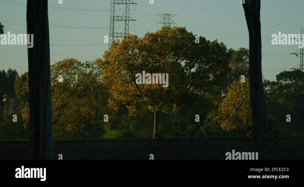 Kenneth hahn Stock Videos & Footage - HD and 4K Video Clips - Alamy