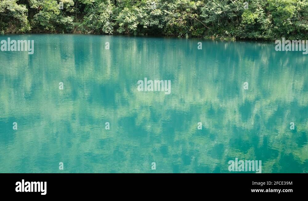 Trees by reservoir Stock Videos & Footage - HD and 4K Video Clips - Alamy
