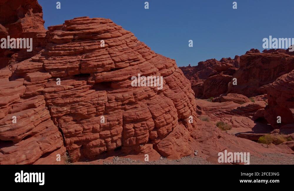Beehive formation Stock Videos & Footage - HD and 4K Video Clips - Alamy