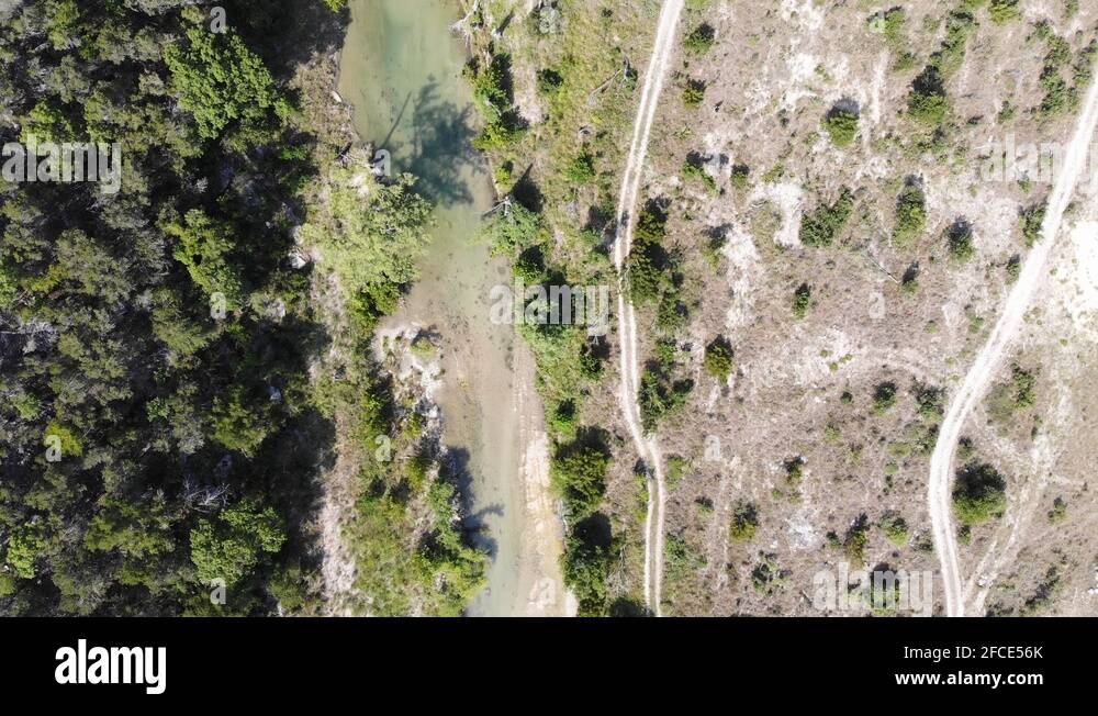 Lines of cypress trees Stock Videos & Footage - HD and 4K Video Clips ...