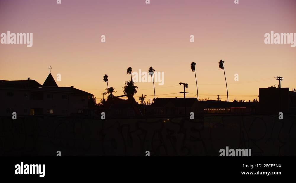 Palm trees cross Stock Videos & Footage - HD and 4K Video Clips - Alamy