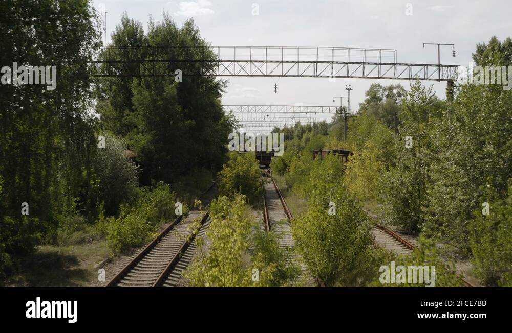 Chernobyl symbol Stock Videos & Footage - HD and 4K Video Clips - Alamy