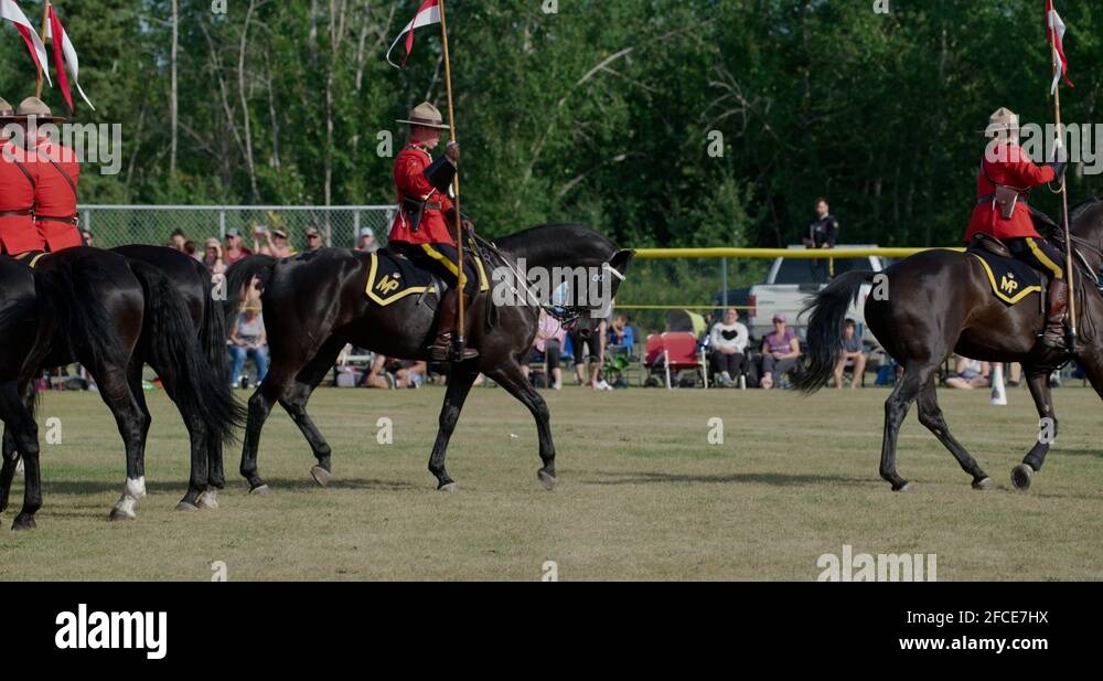 Rcmp on his horse Stock Videos & Footage - HD and 4K Video Clips - Alamy