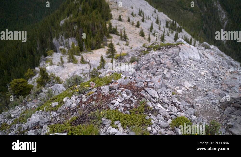Wider range Stock Videos & Footage - HD and 4K Video Clips - Alamy