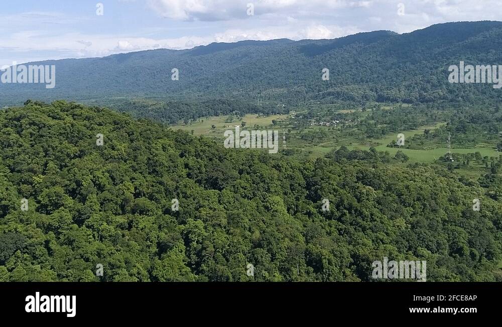 Stunning rain forest Stock Videos & Footage - HD and 4K Video Clips - Alamy