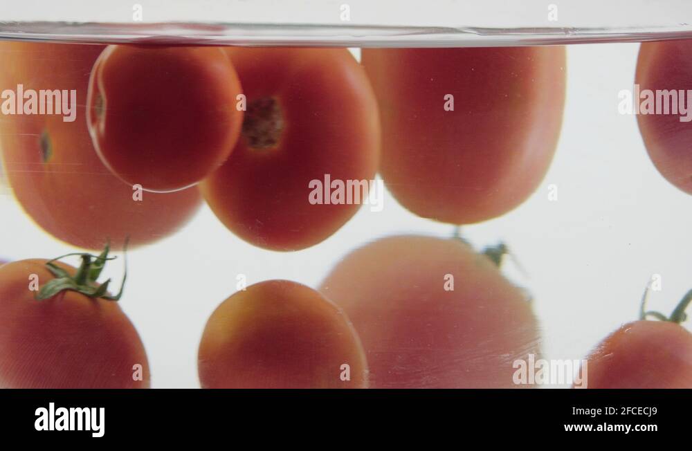 Tomatos floating and falling in water with white background. 4K Stock ...