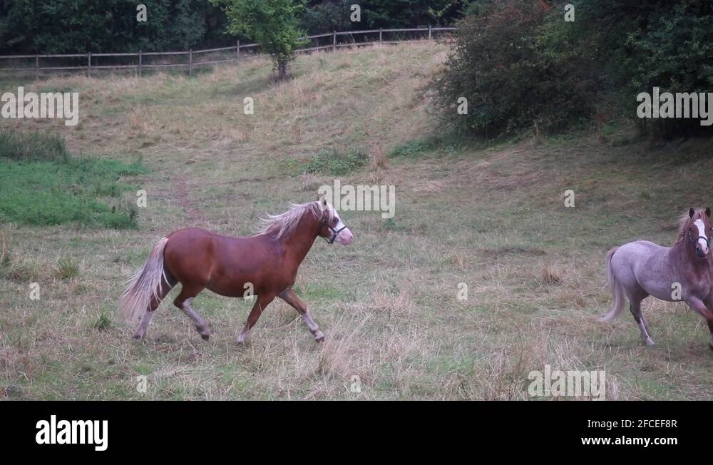 Running into each other Stock Videos & Footage - HD and 4K Video Clips ...