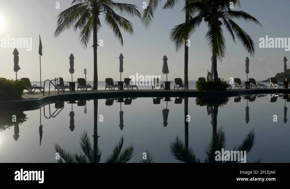 Palms and pool Stock Videos & Footage - HD and 4K Video Clips - Alamy