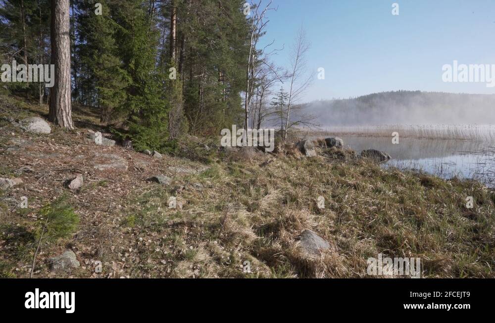 Mythical spring Stock Videos & Footage - HD and 4K Video Clips - Alamy