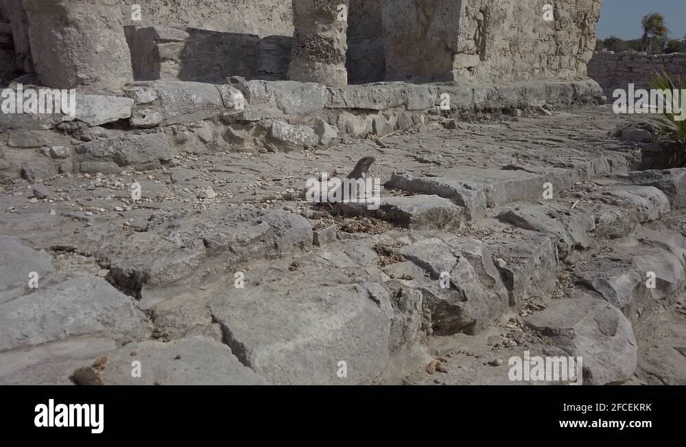 Mayan blue Stock Videos & Footage - HD and 4K Video Clips - Alamy