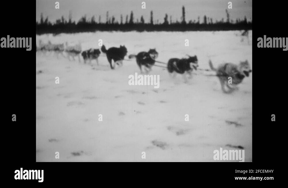 Man being pulled Stock Videos & Footage - HD and 4K Video Clips - Alamy