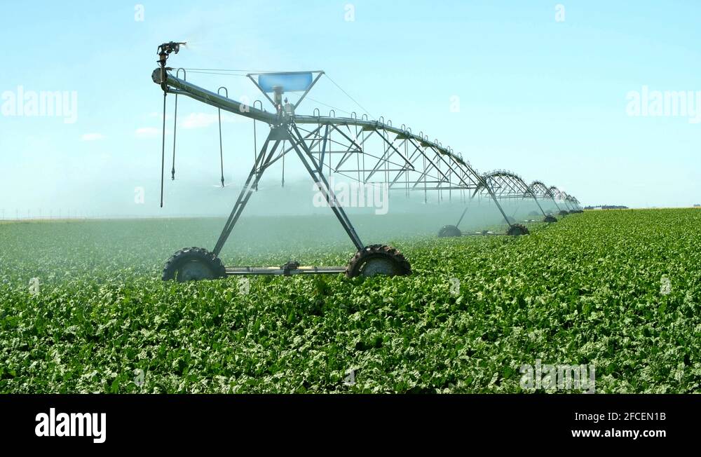 Linear irrigation Stock Videos & Footage - HD and 4K Video Clips - Alamy