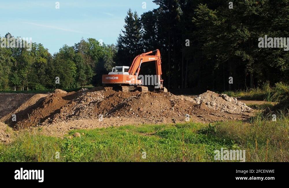 Forest clearing Stock Videos & Footage - HD and 4K Video Clips - Alamy