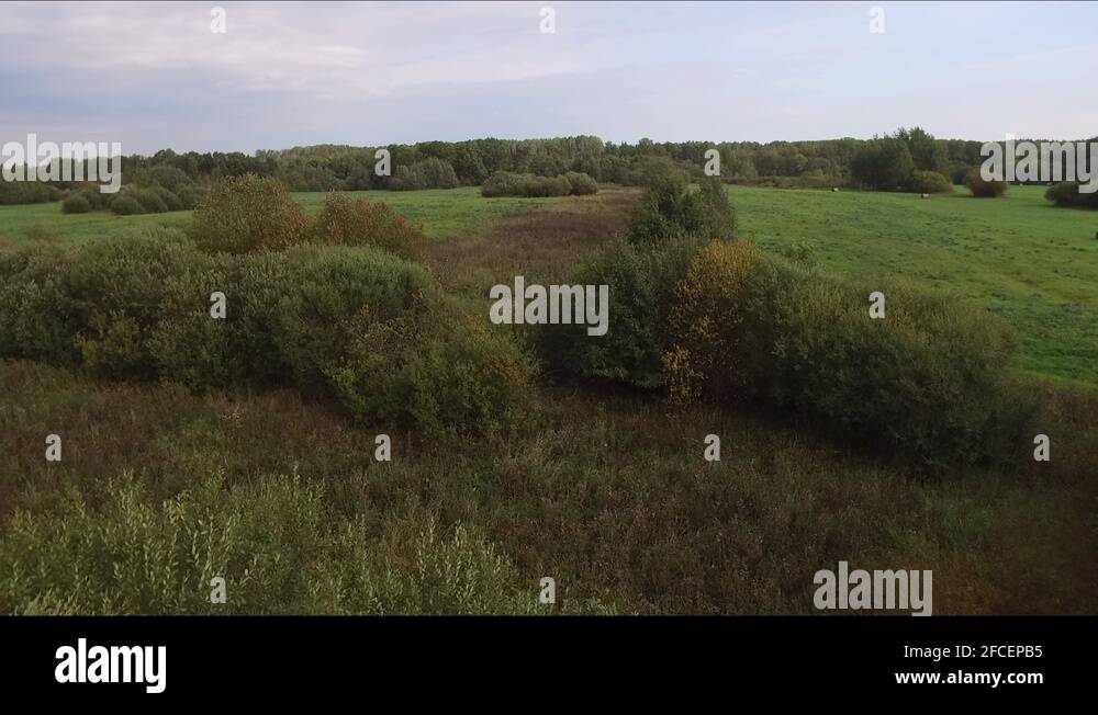 Wetland aerial Stock Videos & Footage - HD and 4K Video Clips - Alamy