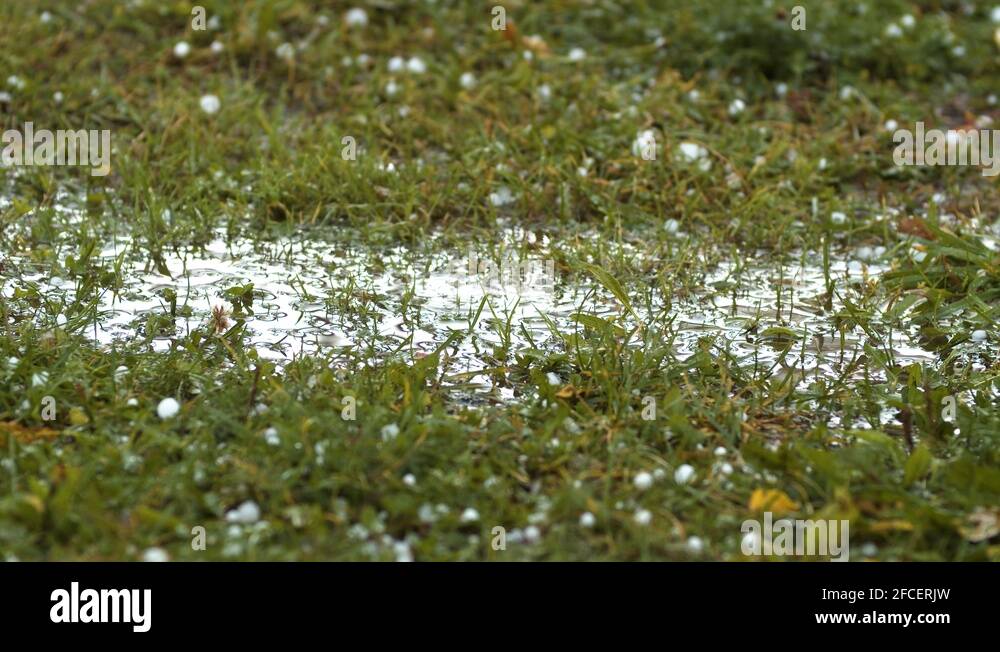 Hail grains Stock Videos & Footage - HD and 4K Video Clips - Alamy