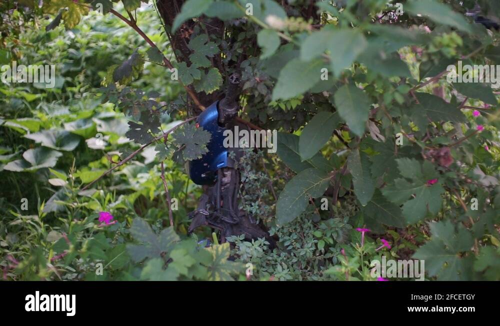 Broken moped Stock Videos & Footage - HD and 4K Video Clips - Alamy