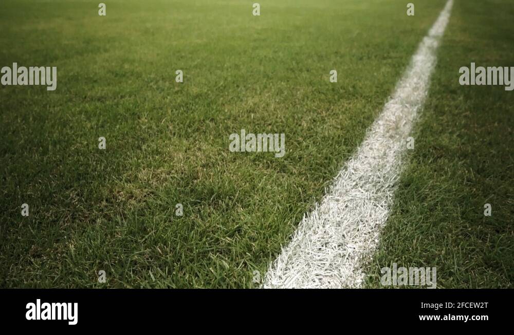 Football stadium pitch grass Stock Videos & Footage - HD and 4K Video ...