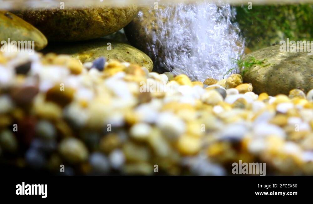 Oxygen free environment Stock Videos & Footage - HD and 4K Video Clips ...