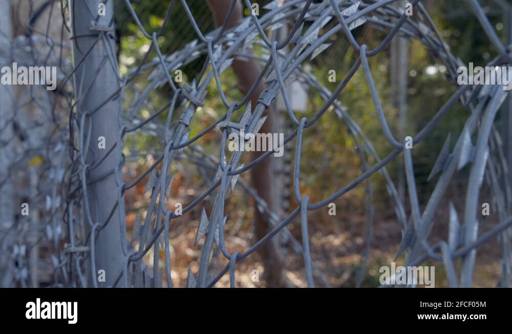 Close Up Man Hand Shaking Barber Wire Border Line With Hope Of Entrance ...